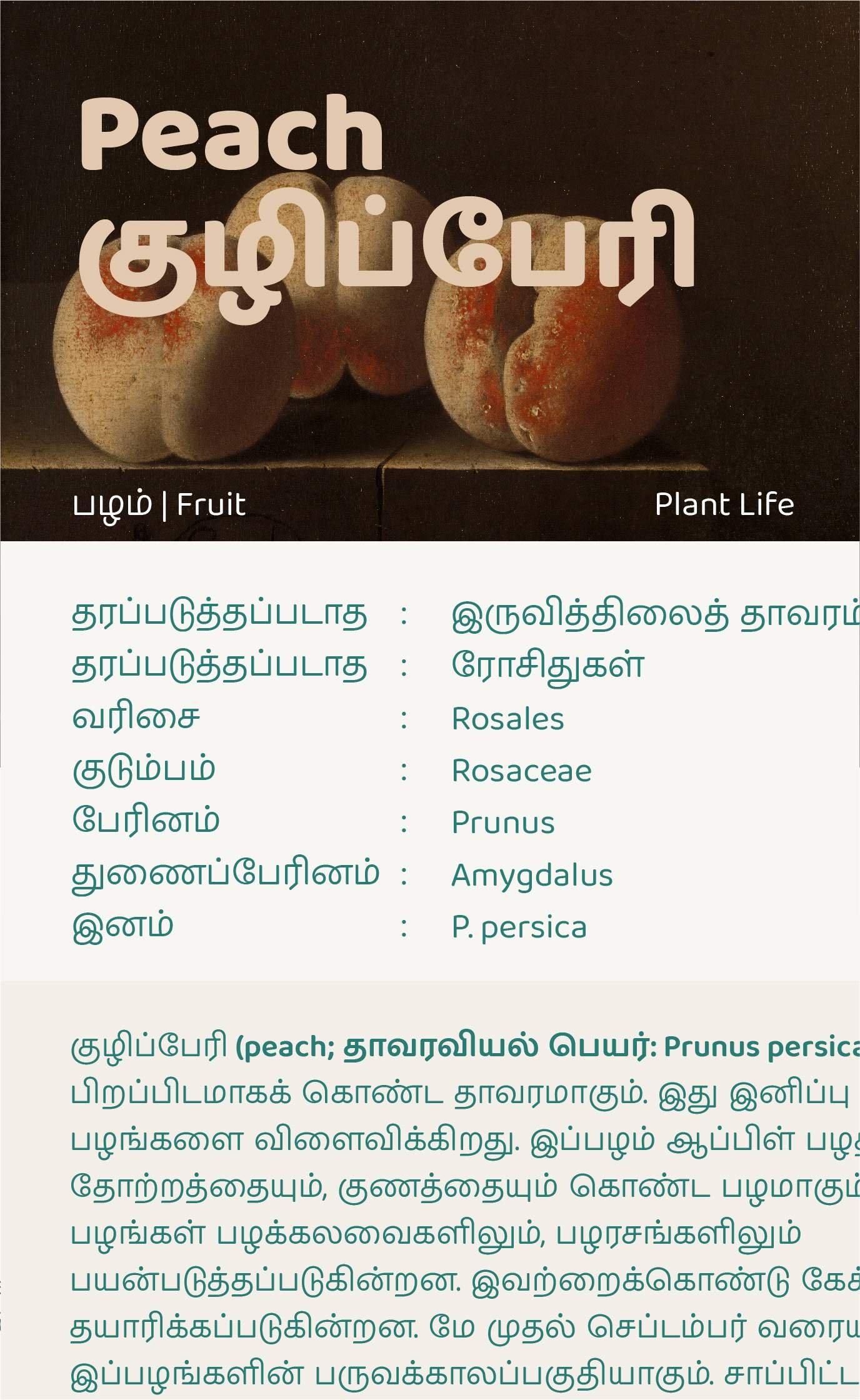 Baloo Thambi